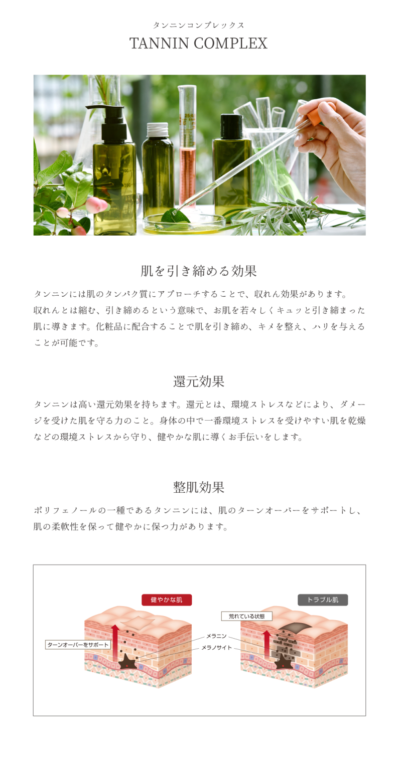 V3 shining foundation - 【公式】SPICARE