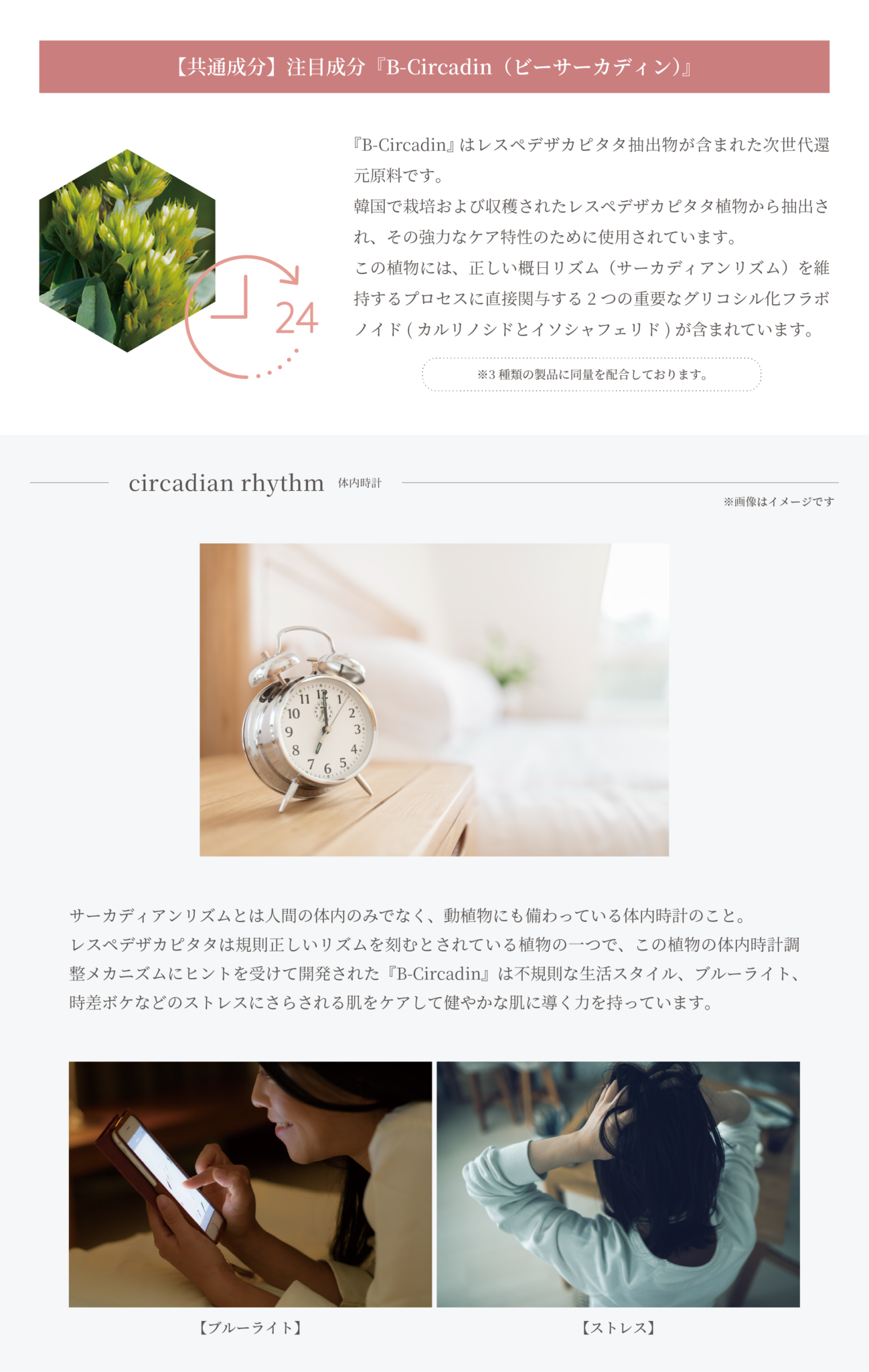 SPICARE tidy rhythm hand cream - 【公式】SPICARE（スピケア）