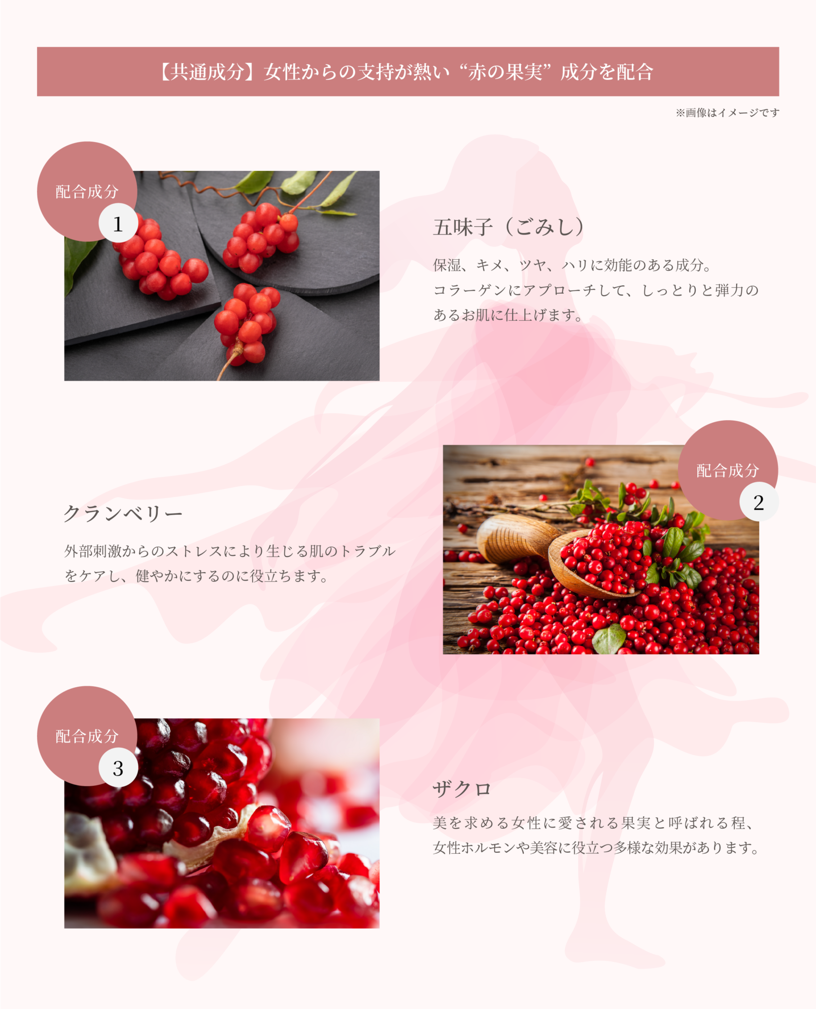 SPICARE tidy rhythm hand cream - 【公式】SPICARE（スピケア）